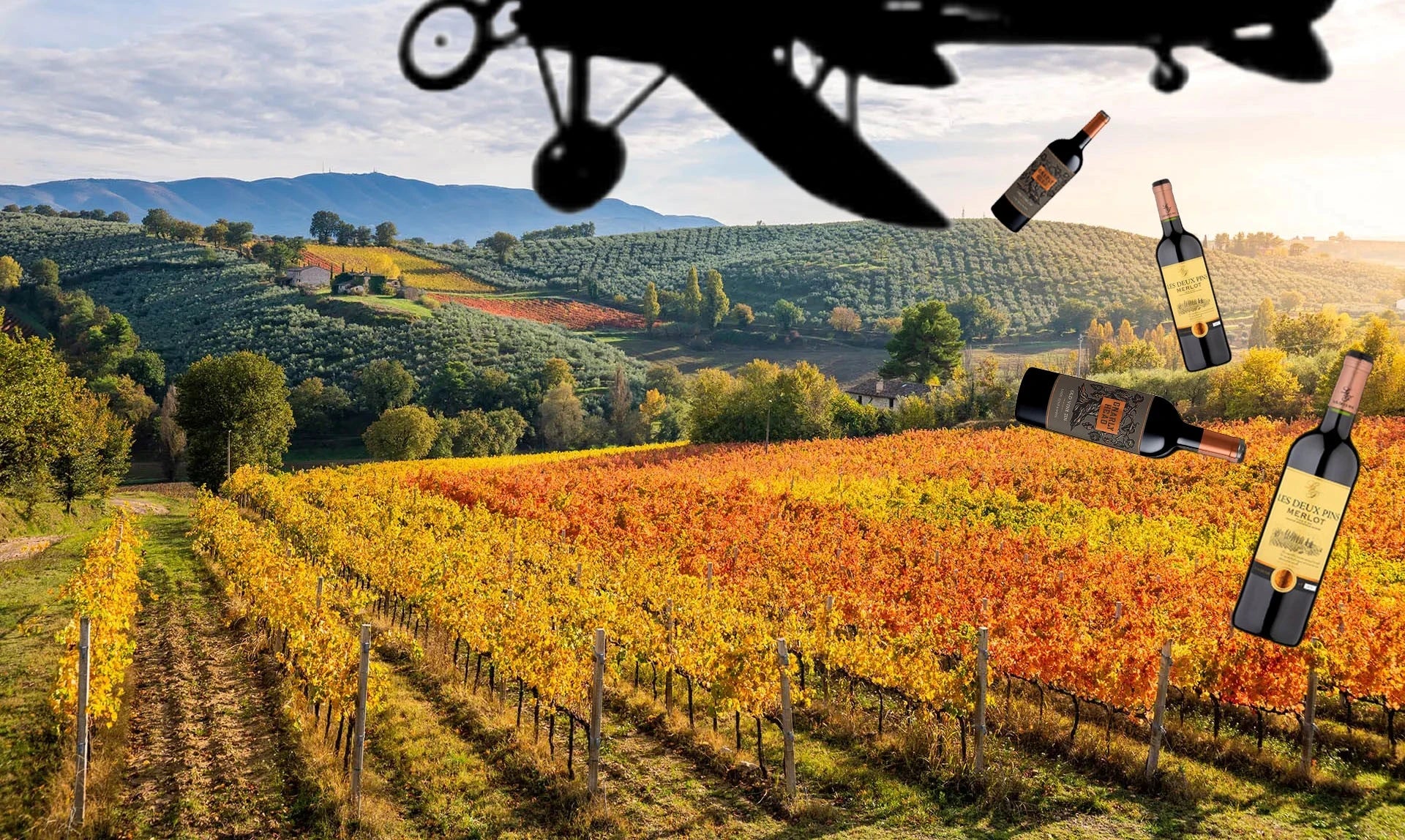 Awesome Autumn! – winedirect.co.nz